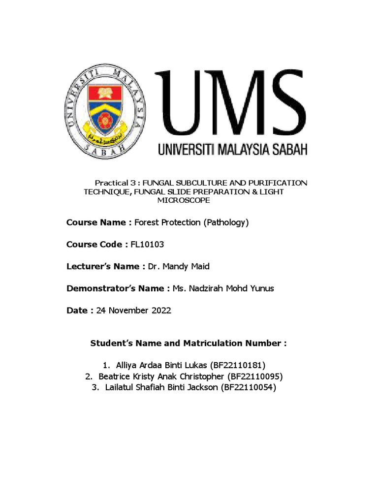 Practical 3 | PDF | Fungus | Microscope