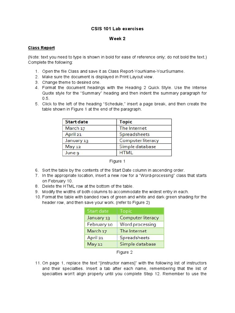 Csis 101 Lab Report Week 2 Pdf Paragraph Written Communication