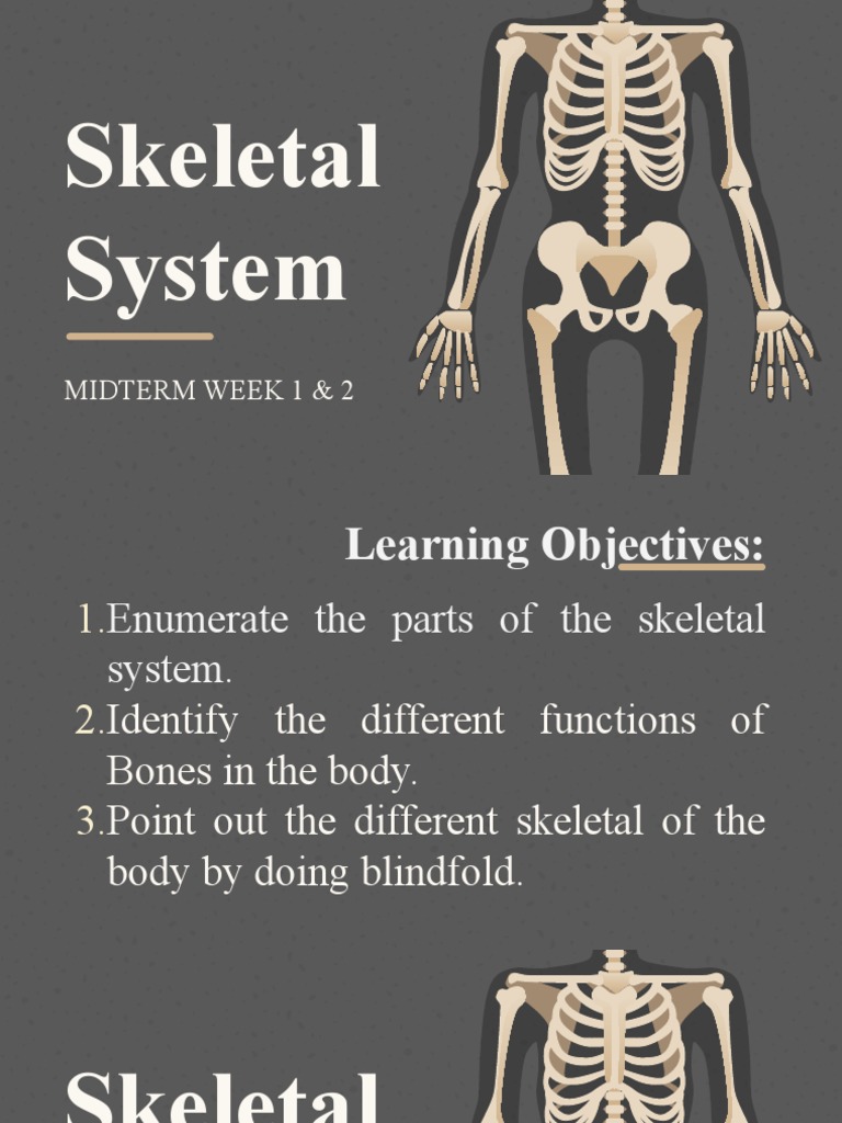 Skeletal System Week 1 3 | PDF | Skeleton | Foot