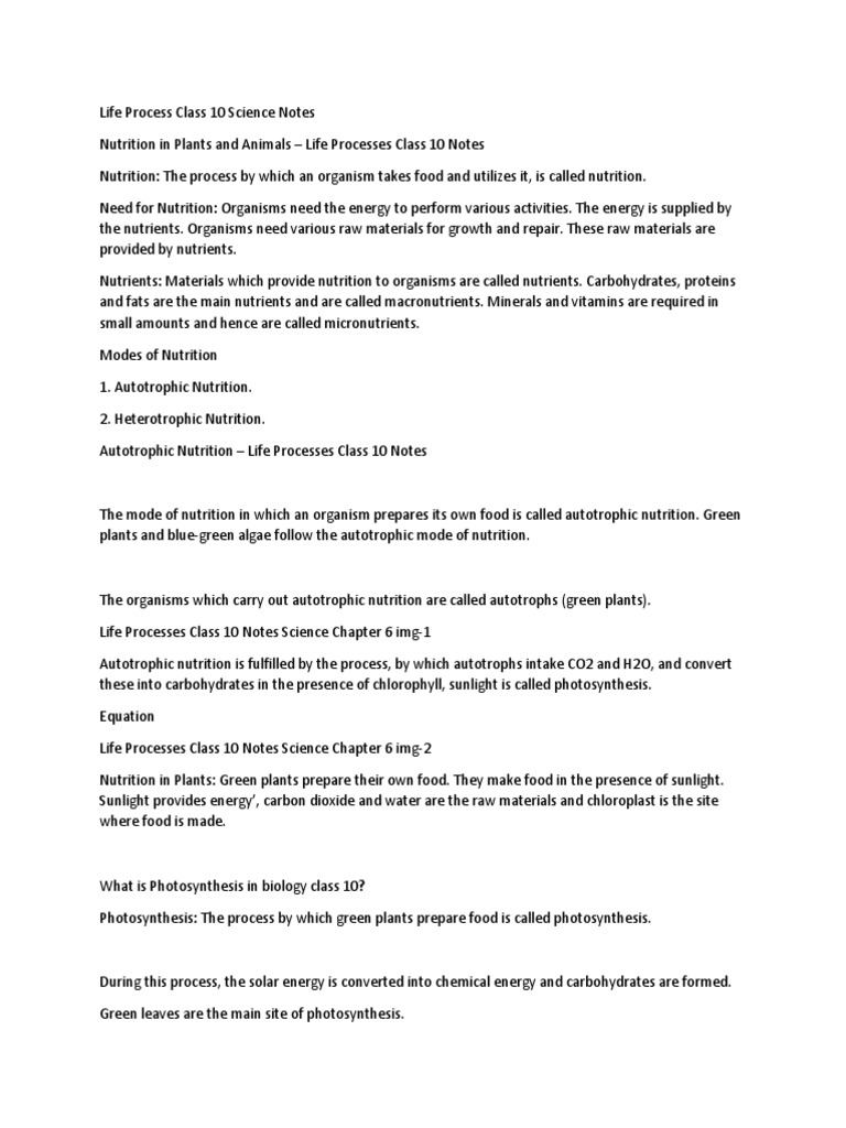 Life Process Class 10 Science Notes | PDF | Cellular Respiration ...