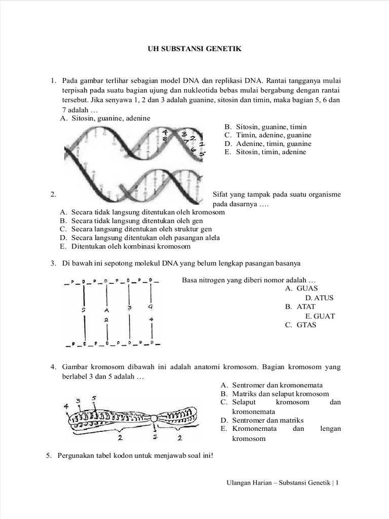 Soal Substansi Genetik | PDF