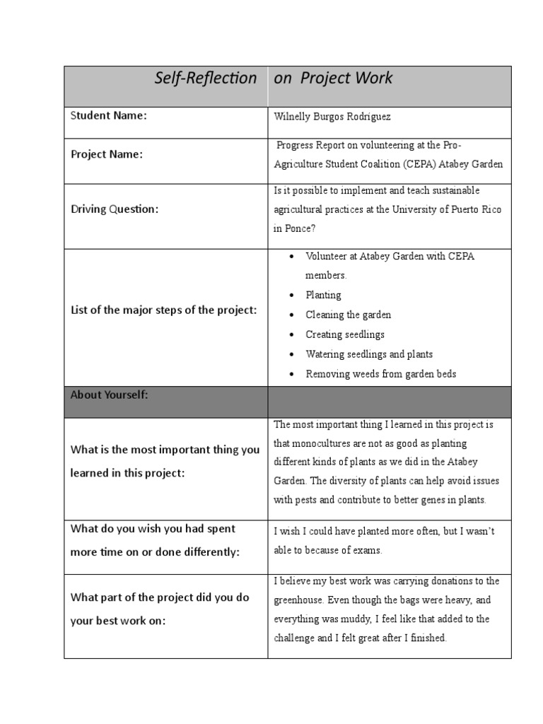Progress Reflection | PDF | Plants | Agriculture