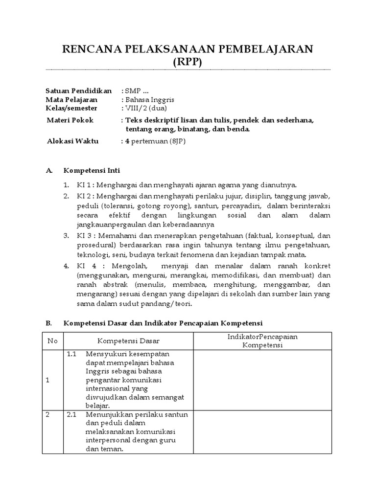 (Unit 13) RPP What Does She Look Like | PDF