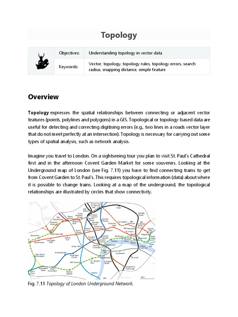 6 Topology | PDF | Geographic Information System | Vertex (Geometry)