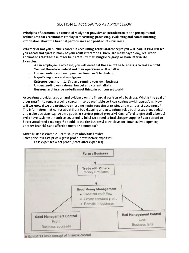 CSEC Principles of Accounts - Introduction To Accounting & Ethics | PDF ...