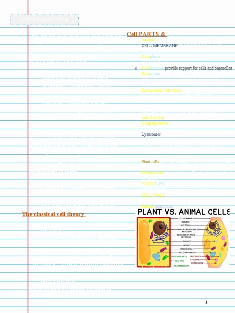 Cell | PDF | Cell (Biology) | Organelle