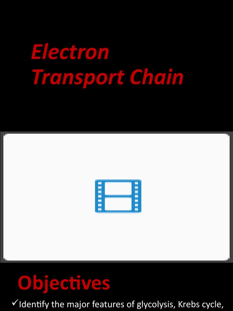 2Q Week 4 Lesson 3 Electron Transport Chain | PDF