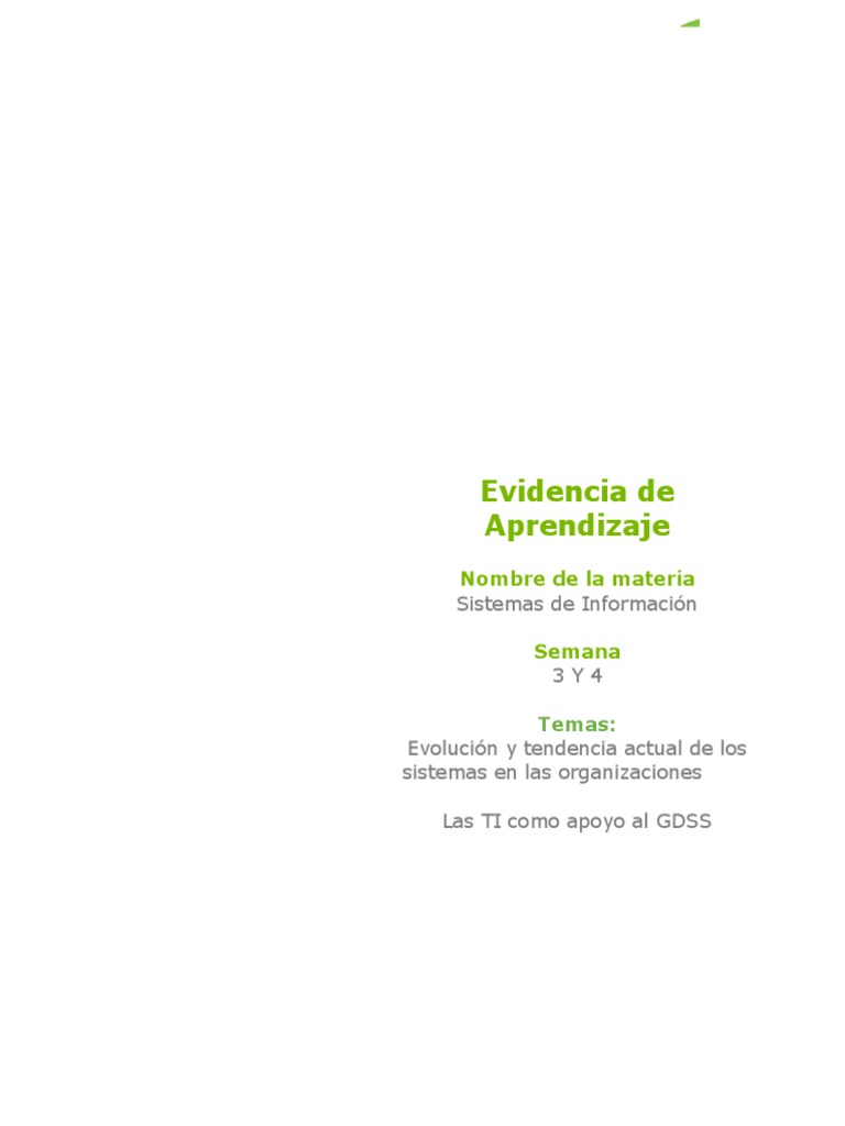 Sistemas de Información - Segundo Parcial - P | PDF | Sistema de informacion | Planificación