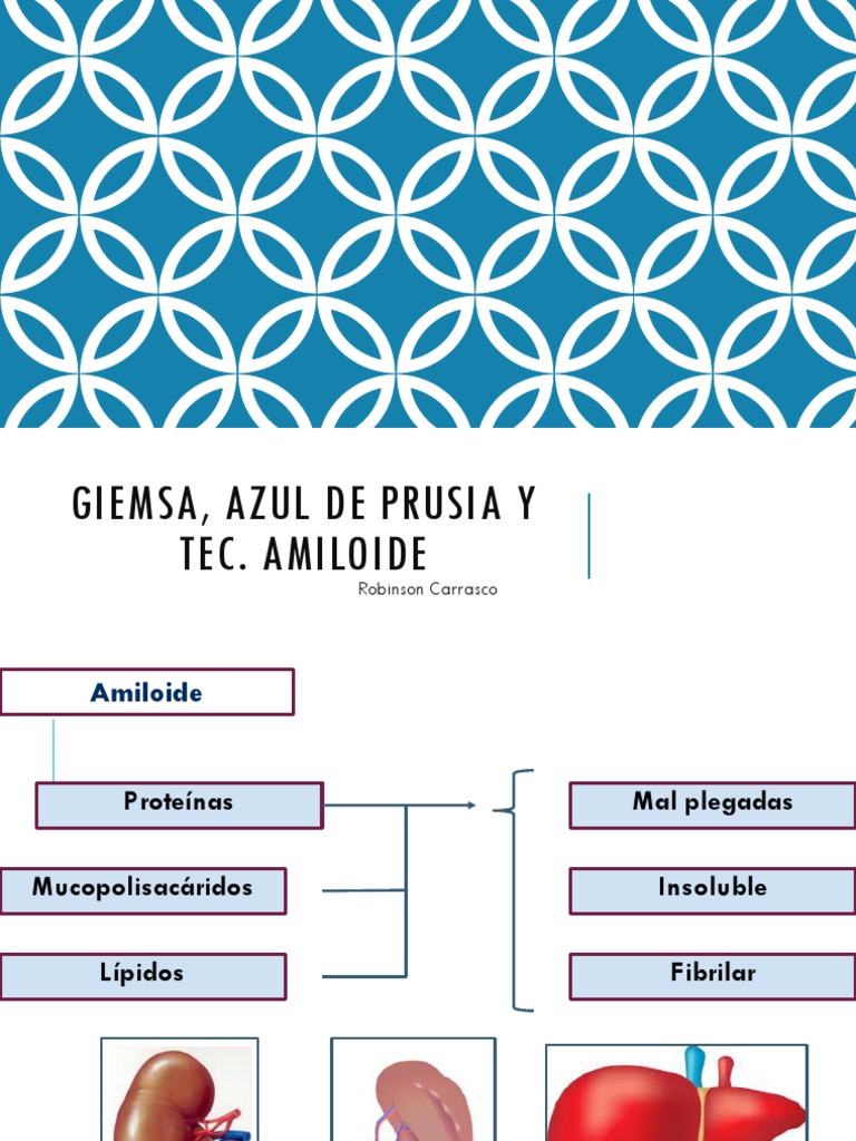 Amiloide, Azul de Prusia, Giemsa | PDF | Tinción | Química