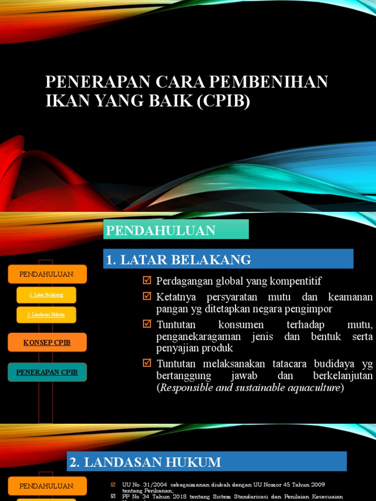 Penerapan CPIB - 22 - OK | PDF