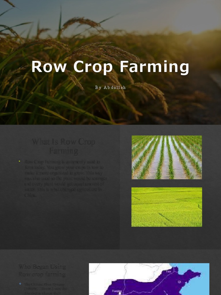 Row Crop Farming | PDF