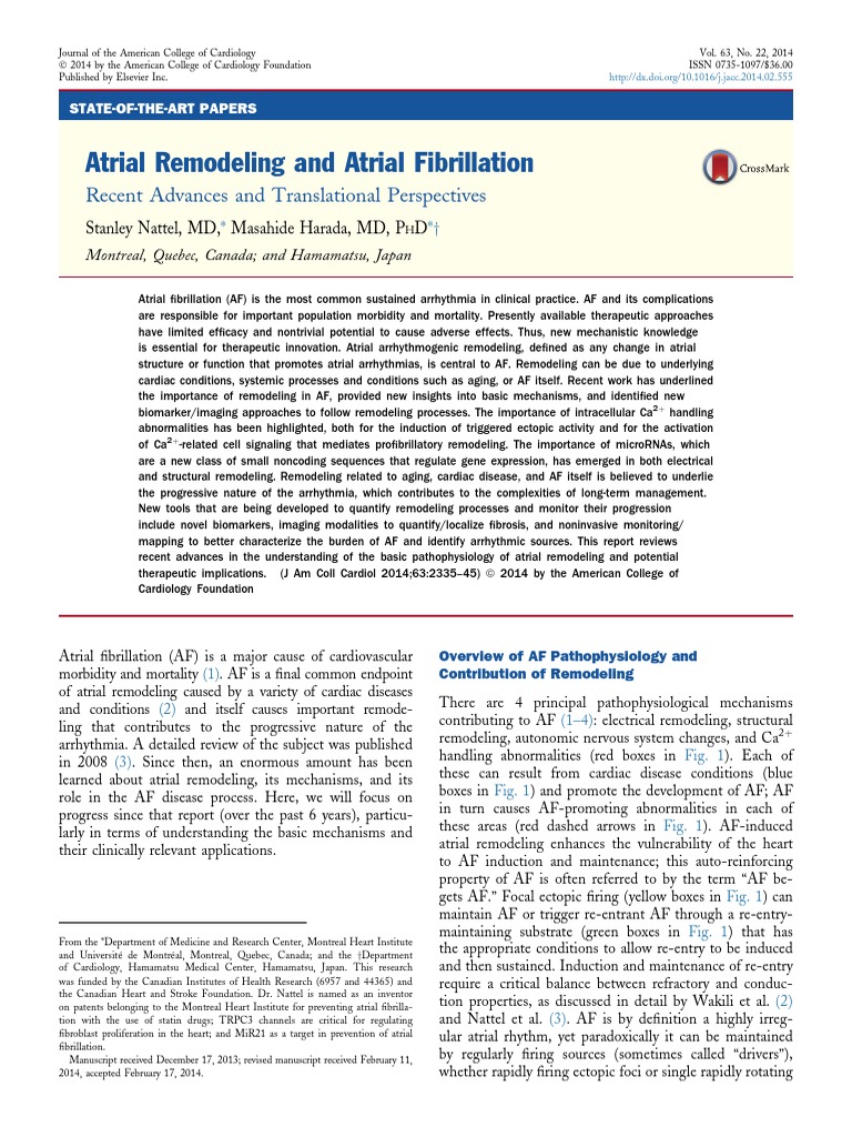 Atrial Remodeling and Atrial Fibrillation | PDF