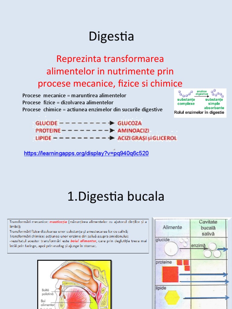 Digestia | PDF