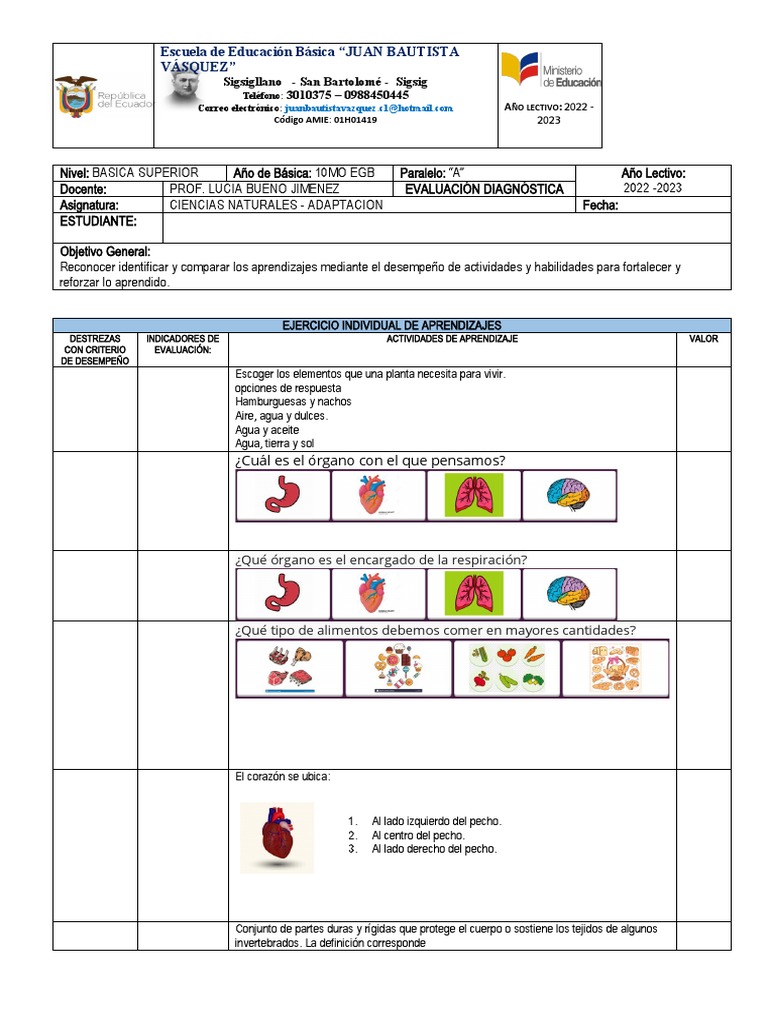 Adaptacion Diagnóstico CCNN 10mo | PDF | Educación primaria | Plantas