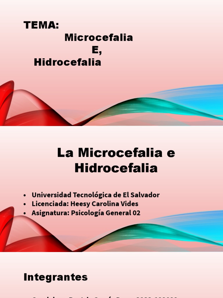 Microcefalia e Hidrocefalia: Impacto y Tratamiento | PDF | Medicina | Medicina CLINICA