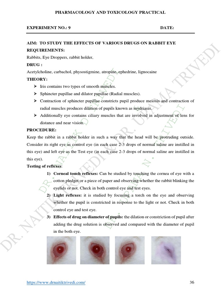 To Study The Effects of Various Drugs On Rabbit Eye | PDF | Human Eye ...