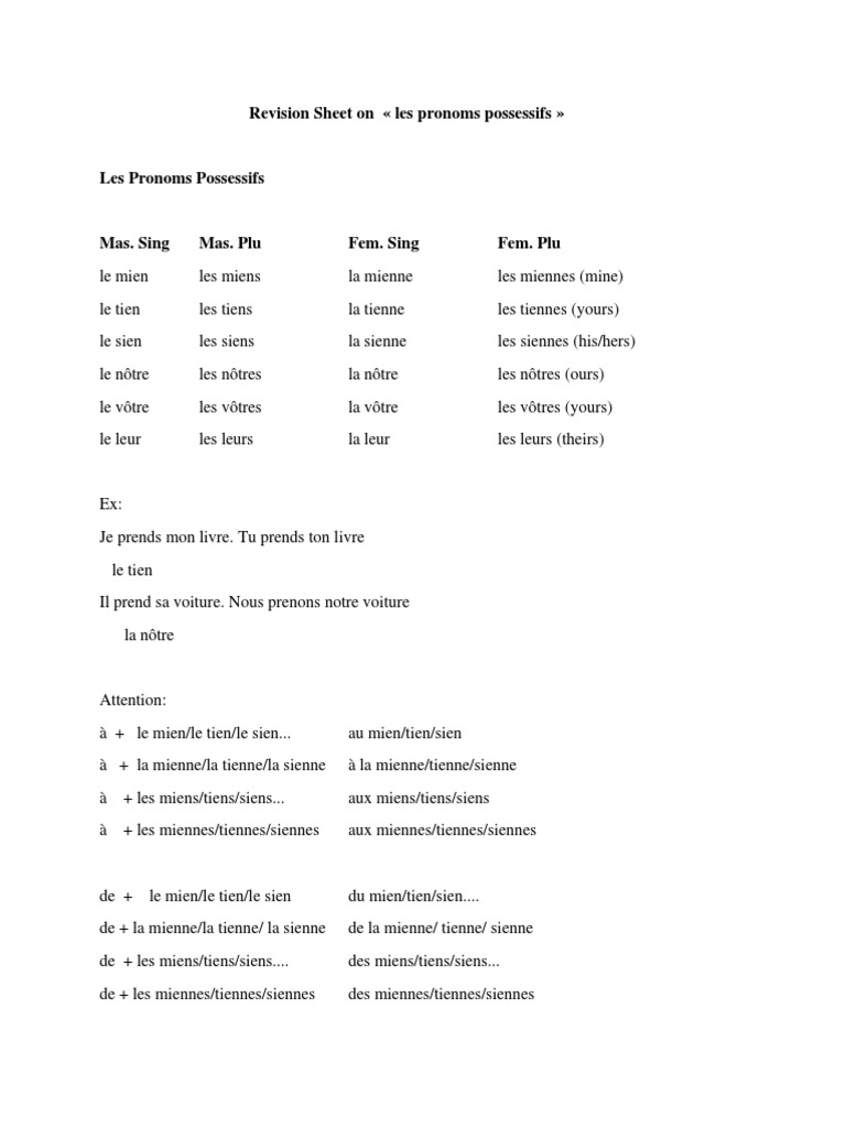 Guide des pronoms possessifs en français | PDF