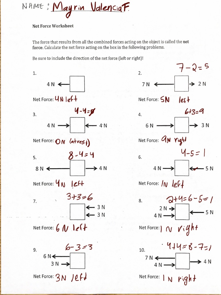 Net Force Worksheet | PDF