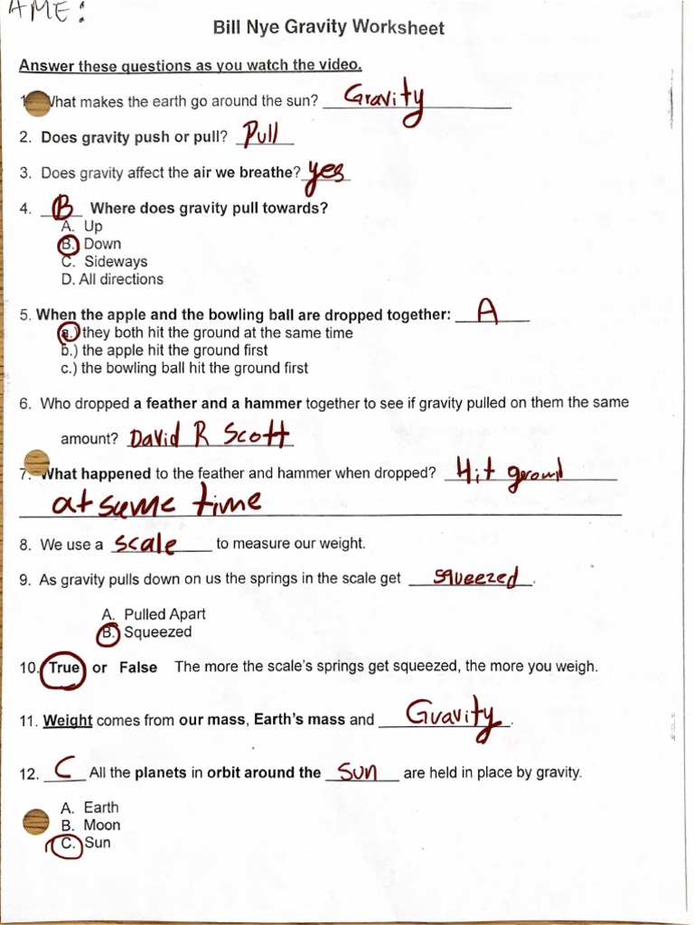 Mayrin's Bill Nye - Gravity Worksheet | PDF