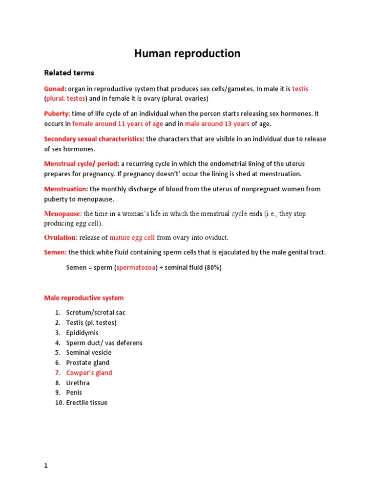 Human Reproductive System Overview | PDF | Reproductive System ...