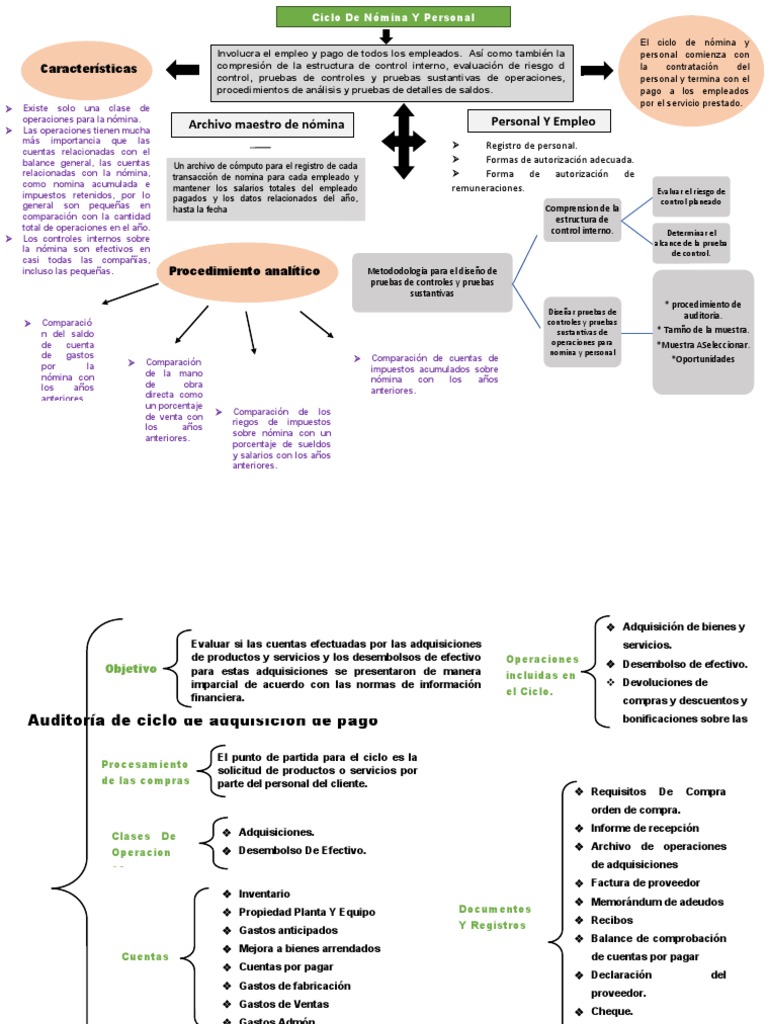 Mapa Conceptual Auditoria III | PDF | Auditoría | Impuestos Mapa Conceptual Auditoria III | PDF | Auditoría | Impuestos