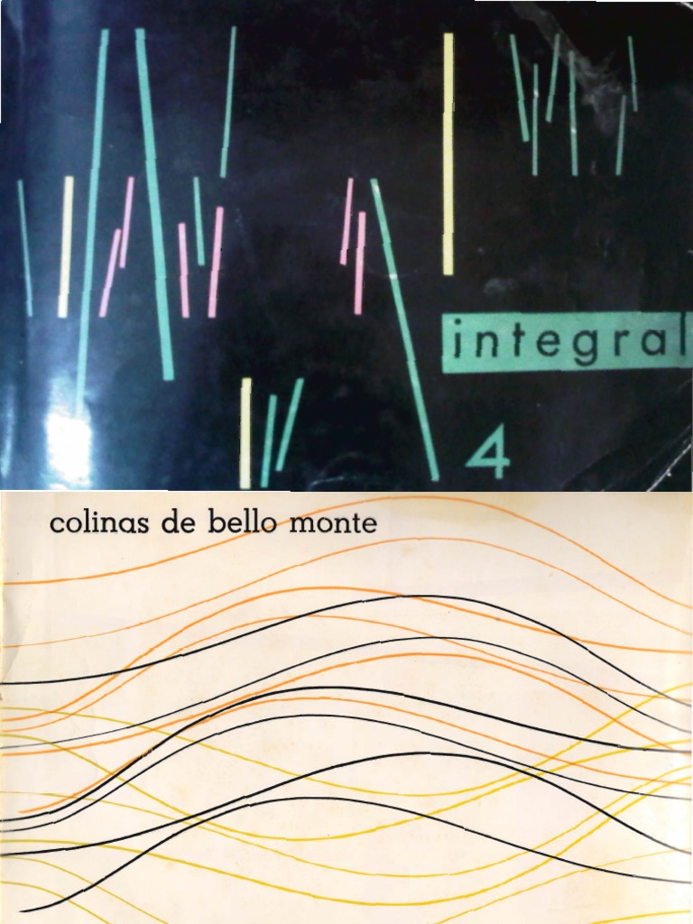 Revista Integral Nro. 4 | PDF