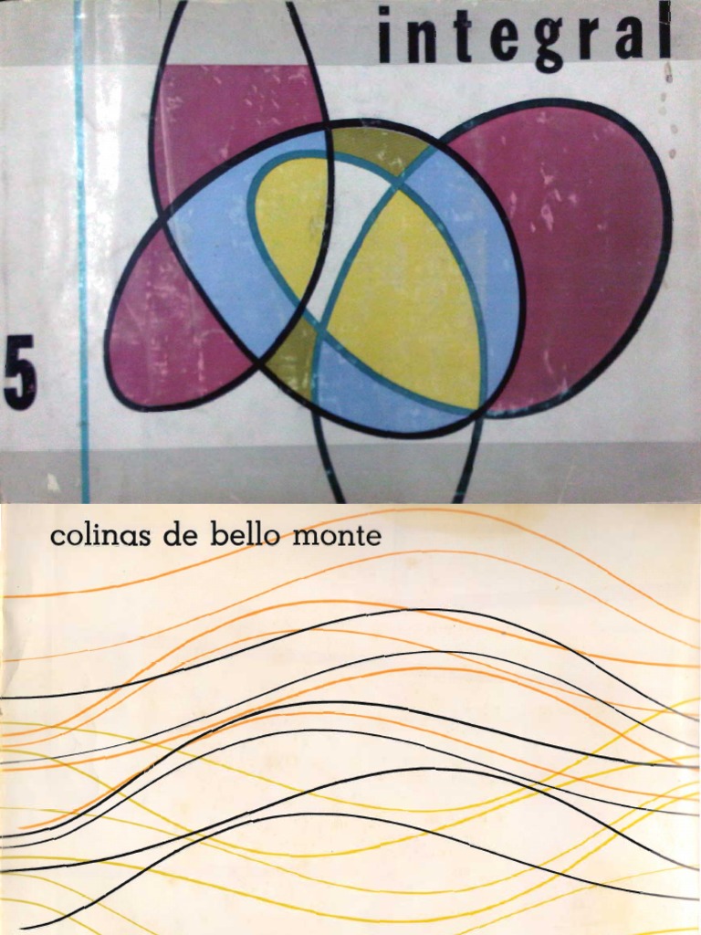 Revista Integral Nro. 5 | PDF