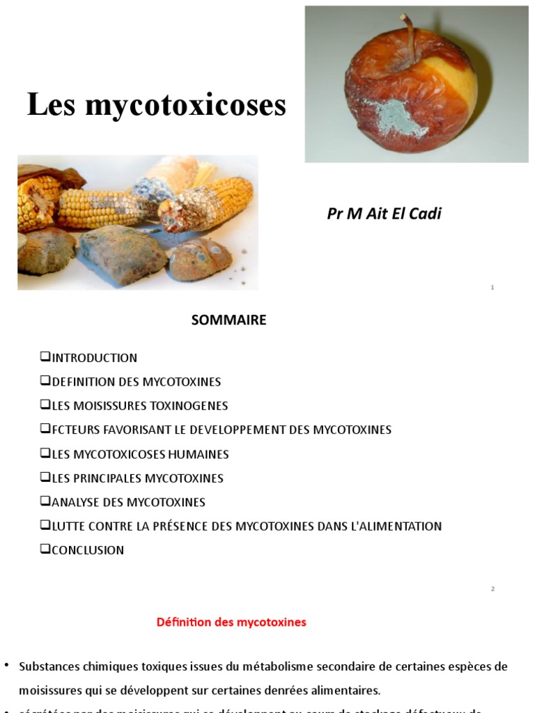Les Mycotoxines | PDF | Mycotoxine | Spécialités médicales