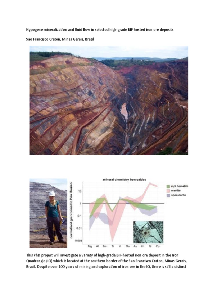 Hypogene Mineralization and Fluid Flow in Selected High-Grade BIF ...