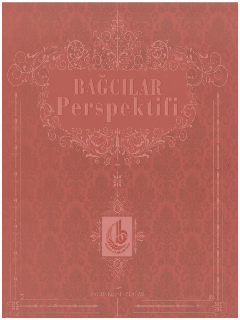 Bagcilar Perspektifi | PDF