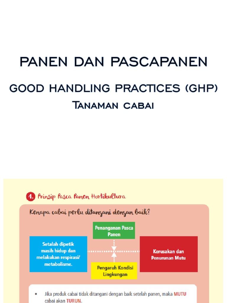 GHP Tanaman Cabai | PDF