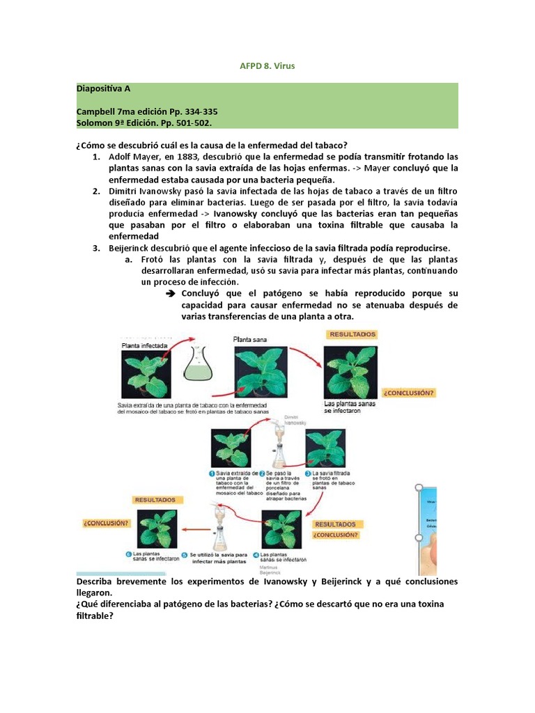 AFPD 8 - Preguntas Guía | PDF | Virus | Bacteriófago