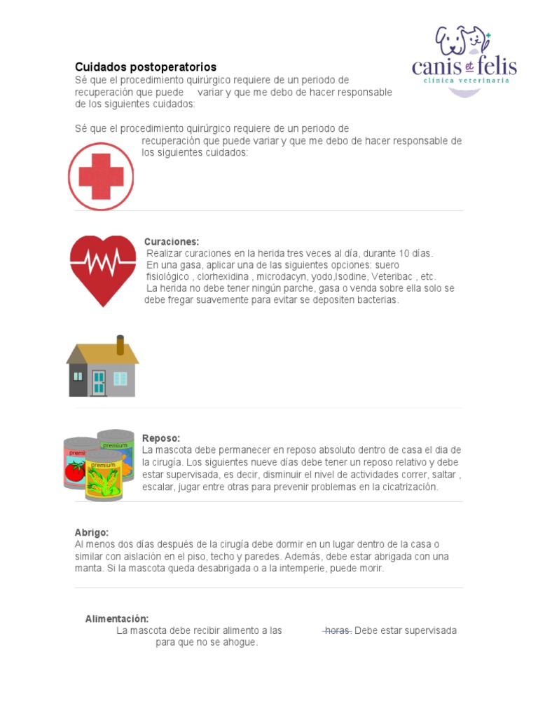 Cuidados Post Operatorios | PDF