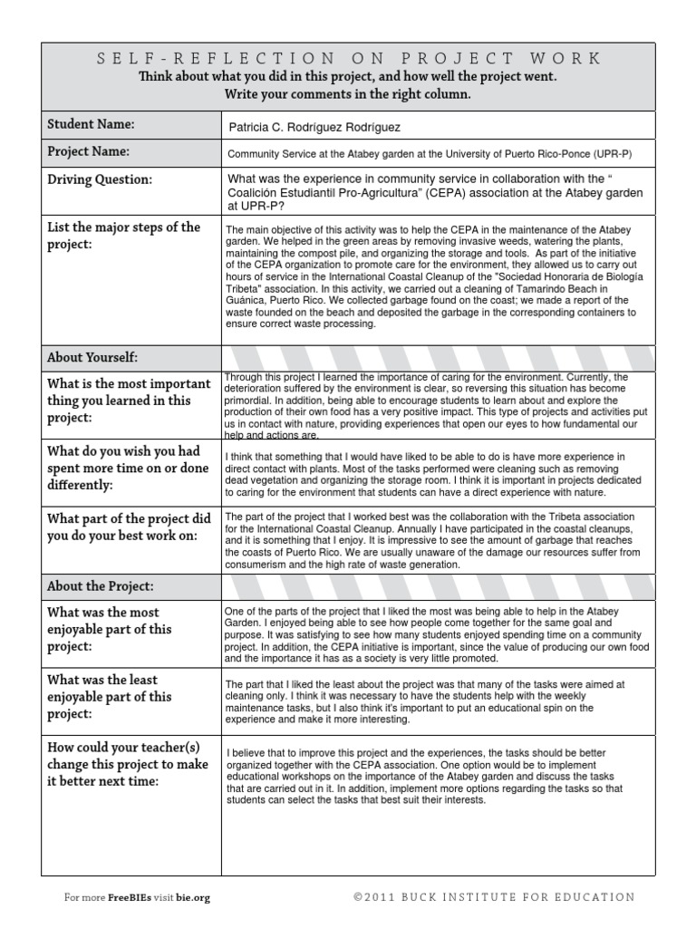 self reflection on project- patricia rodriguez | PDF