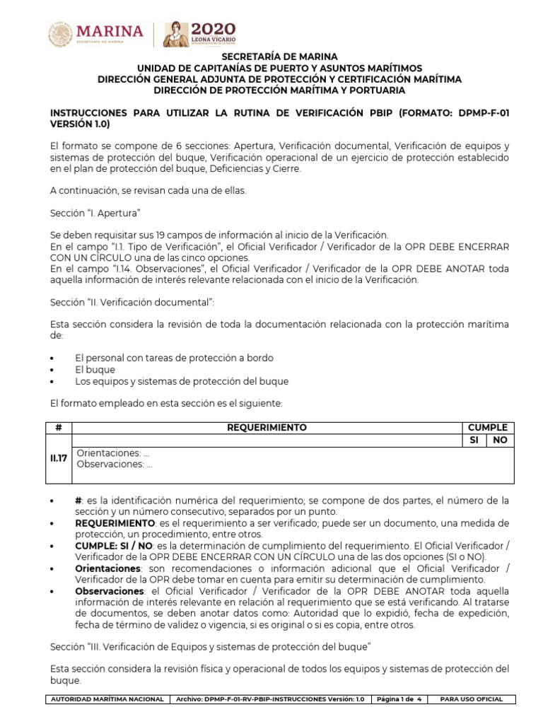 DPMP F 01 RV PBIP Instrucciones Auditoria | PDF