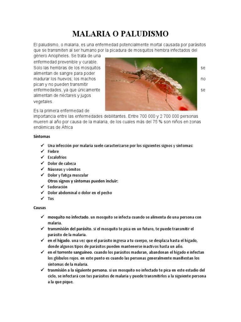 Malaria o Paludismo | PDF | Malaria | Condón
