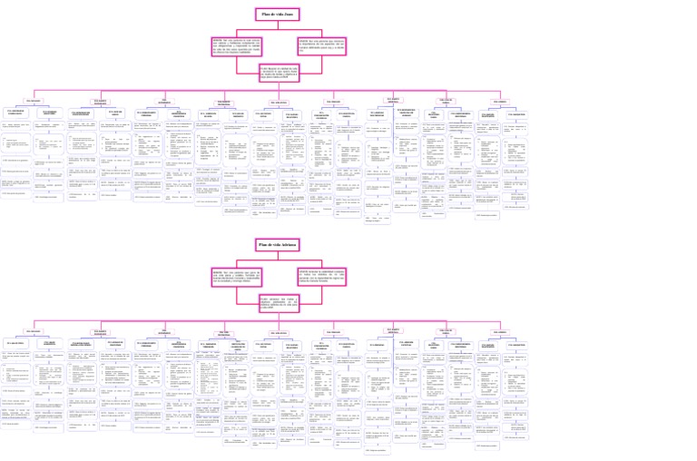 Estructura Plan Personal | PDF | Internet