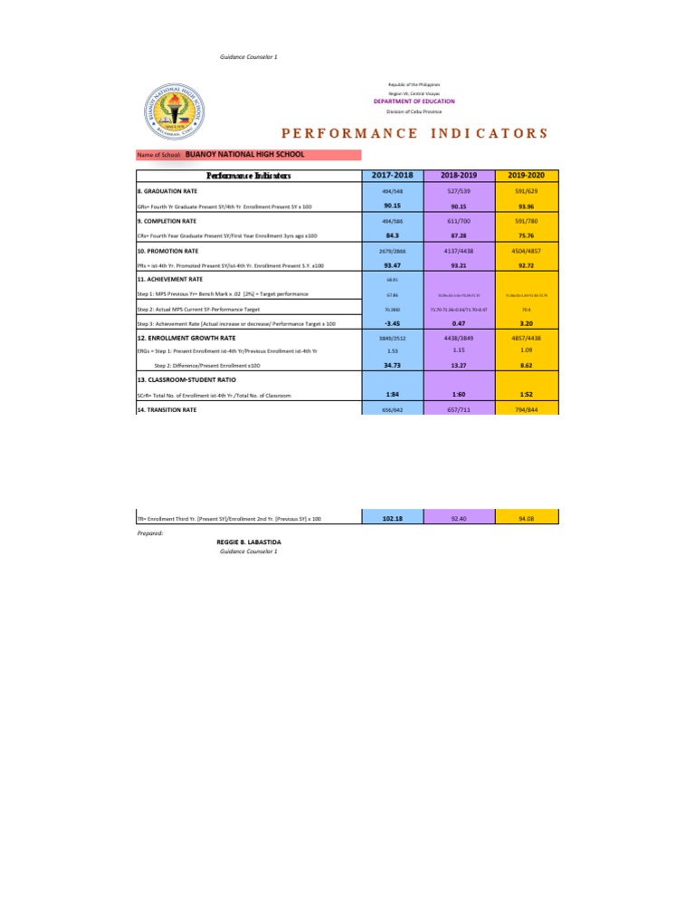 Buanoy Nhs Performance Indicator Updated (1) | PDF