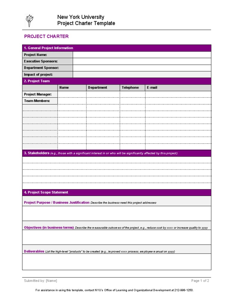NYU Project Charter Template | PDF | Risk | Economies