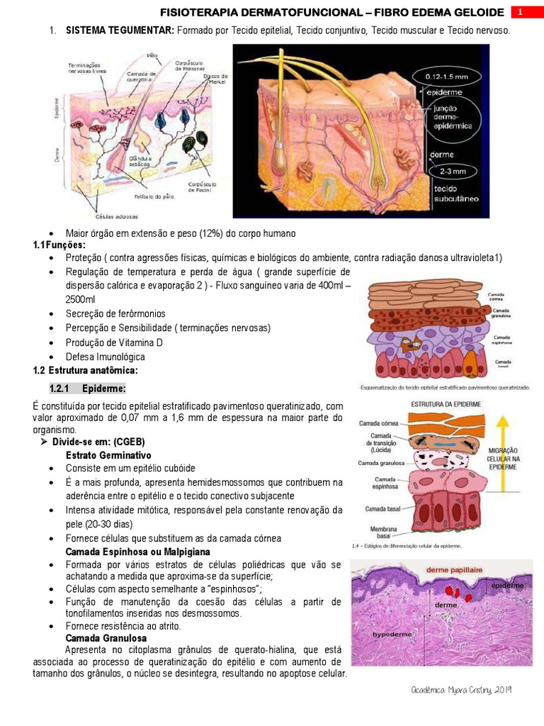 Aula 2 FIBRO EDEMA GELÓIDE | PDF