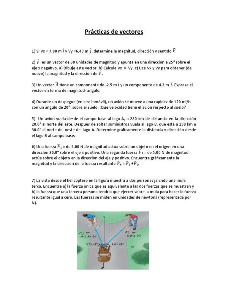 Problemas de Vectores y Fuerzas | PDF | Vector Euclidiano | Fuerza