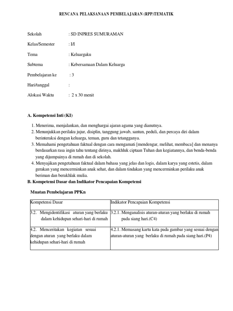 RPP Example Non Example Aksi 1 | PDF | Karier & Perkembangan