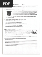 5 Points of Natural Selection - Answer Key | PDF | Natural Selection ...