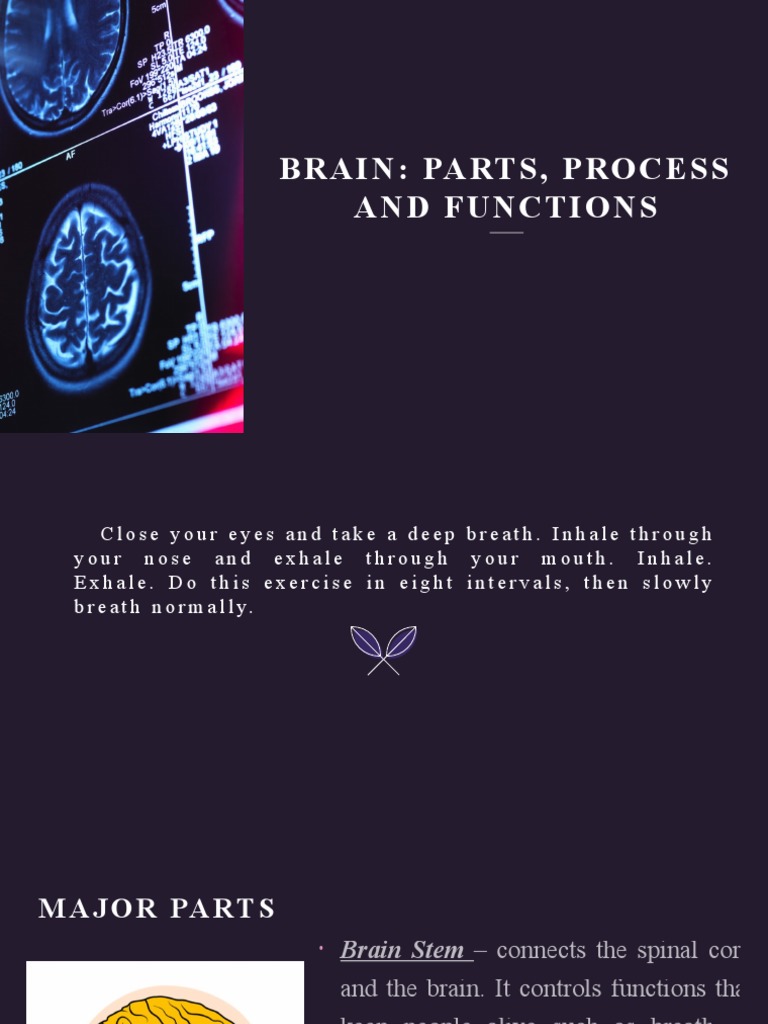 Brain-and-Emotional-Intelligence | PDF | Emotional Intelligence | Emotions