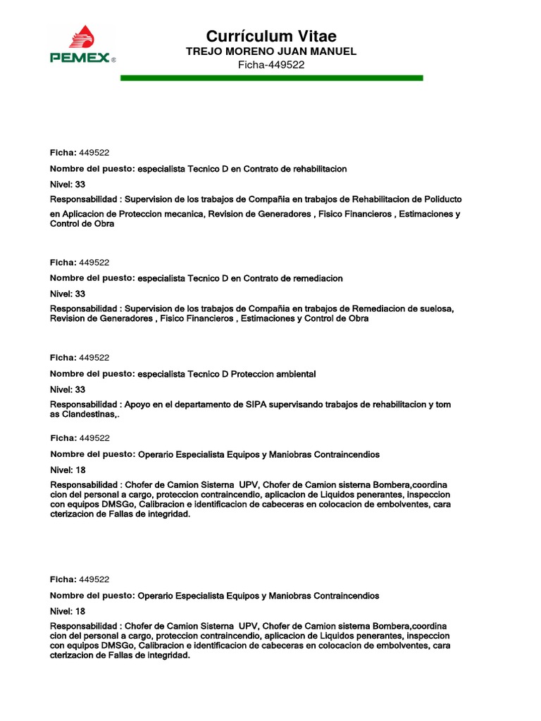 Curriculum Juan Manuel Trejo-2 | PDF