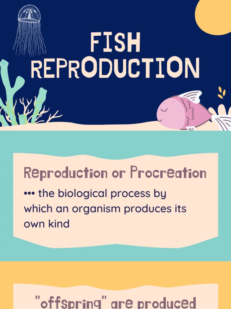Fish Reproduction | PDF