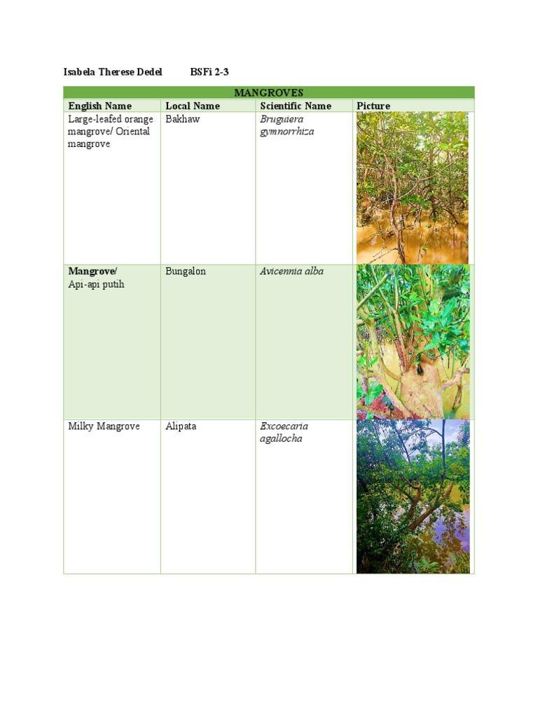 Mangroves Pdf