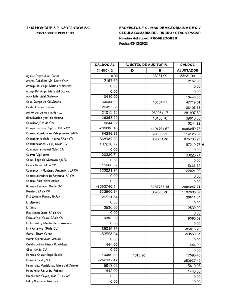 Cedula Sumarias Proveedores | PDF
