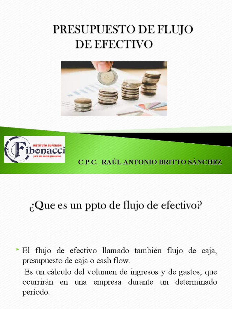 Presupuesto Flujo Efectivo | PDF | Presupuesto | Dinero