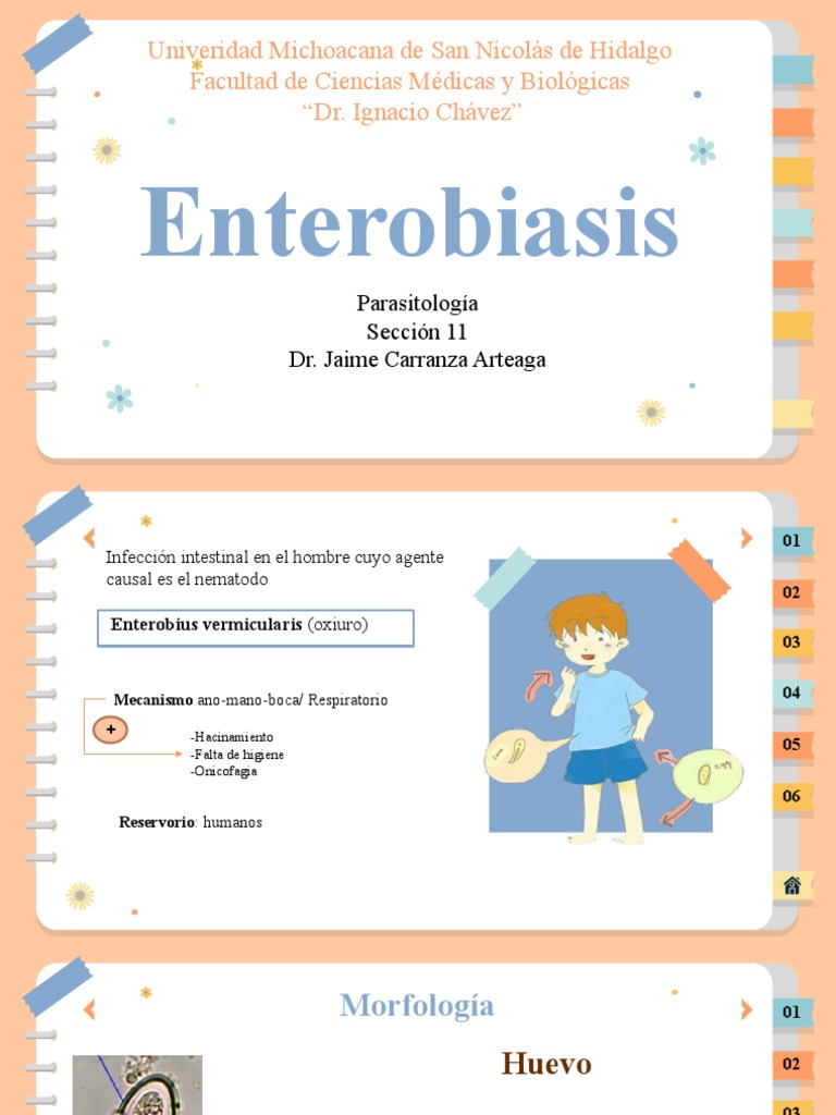 Enterobiasis | PDF | Medicina CLINICA | Especialidades Medicas